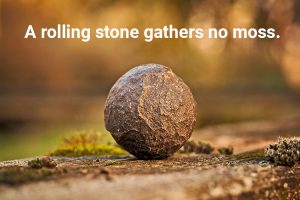 Learn 50+ English Proverbs with their meanings and examples - MTS Blog