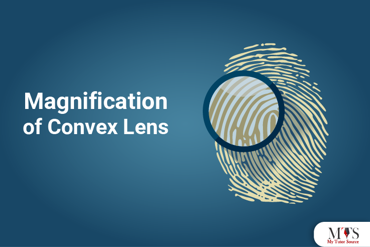 Convex Lens Uses Functions And Types